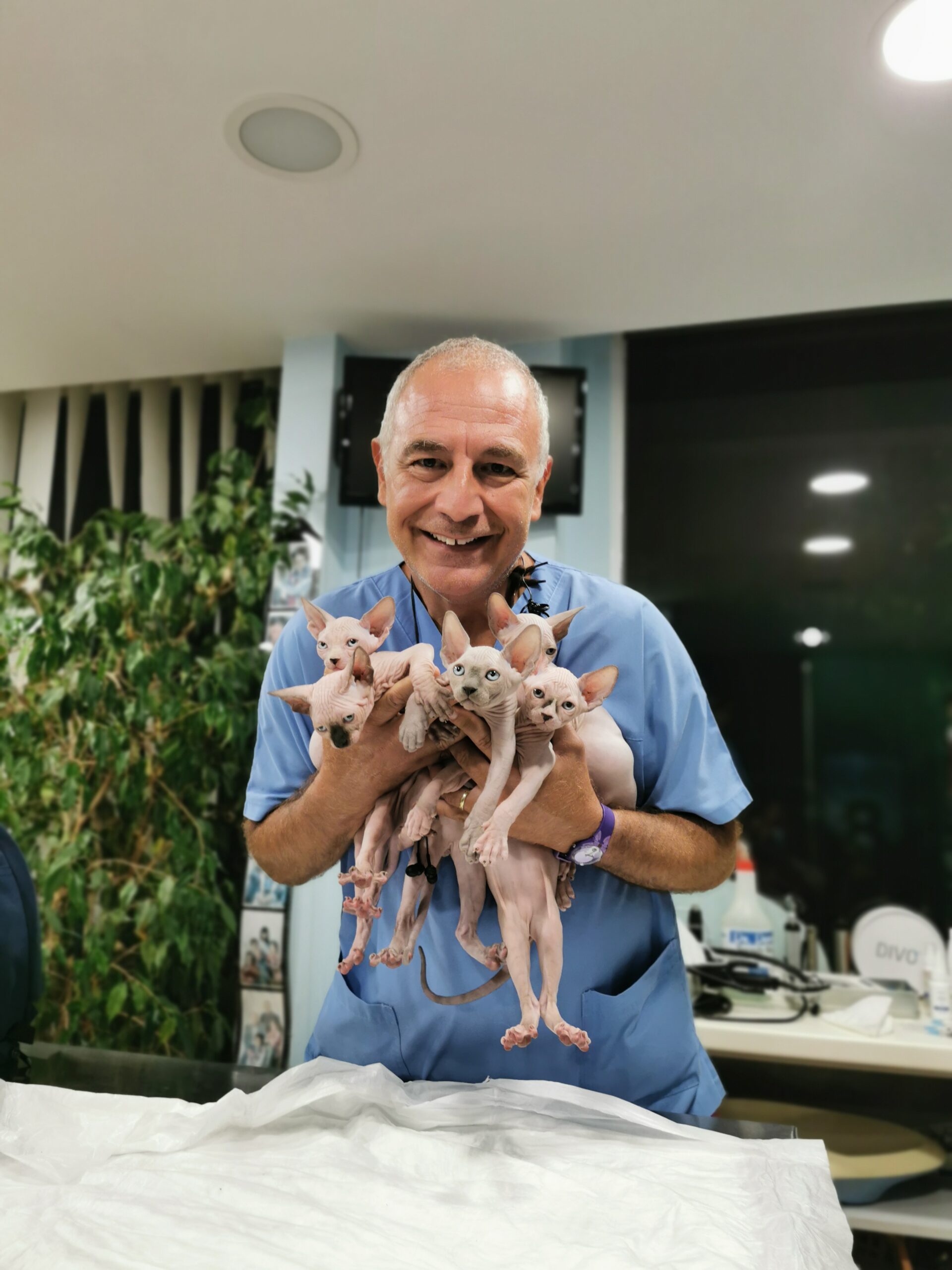 Προφίλ - Pet-Care.gr - Ιατρείο Μικρών Ζώων